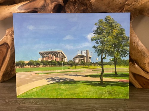 Rare unique oil painting of old Kyle Stadium | eBay