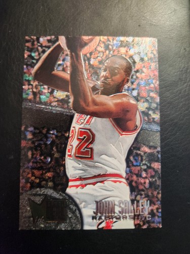 john salley 1995/96 FLEER METAL #107 RAPTORS | eBay