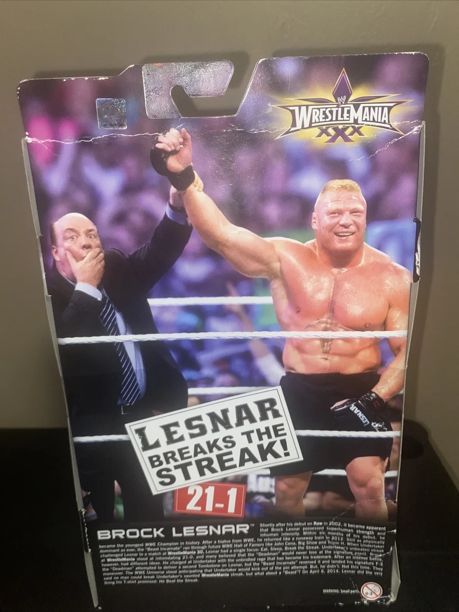 Undertaker Vs Brock Lesnar Wrestlemania 30 21 1