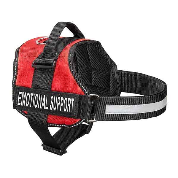Emotional Support Animal Accessories Set | Harness, Leash, Bandana ...