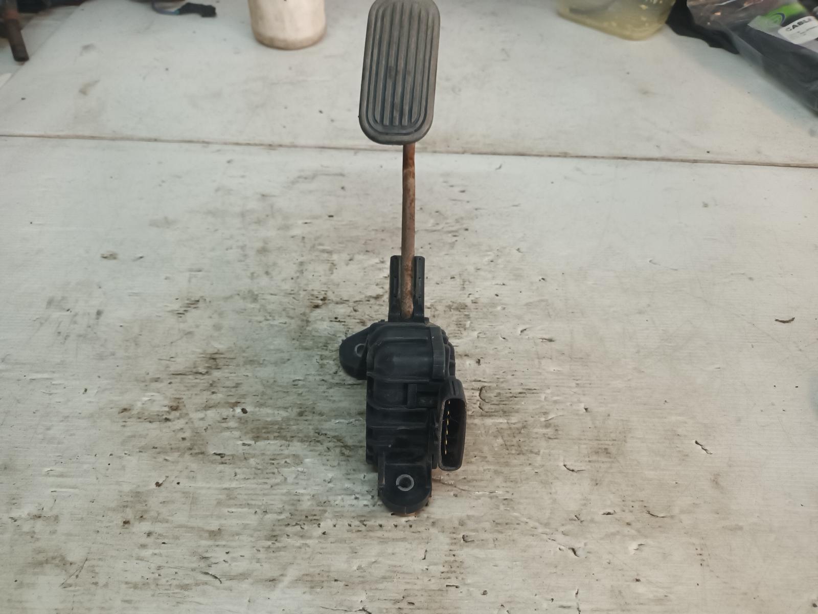 TOYOTA LANDCRUISER PEDAL ASSEMBLY ACCELERATOR PEDAL (PLASTIC), 70 ...