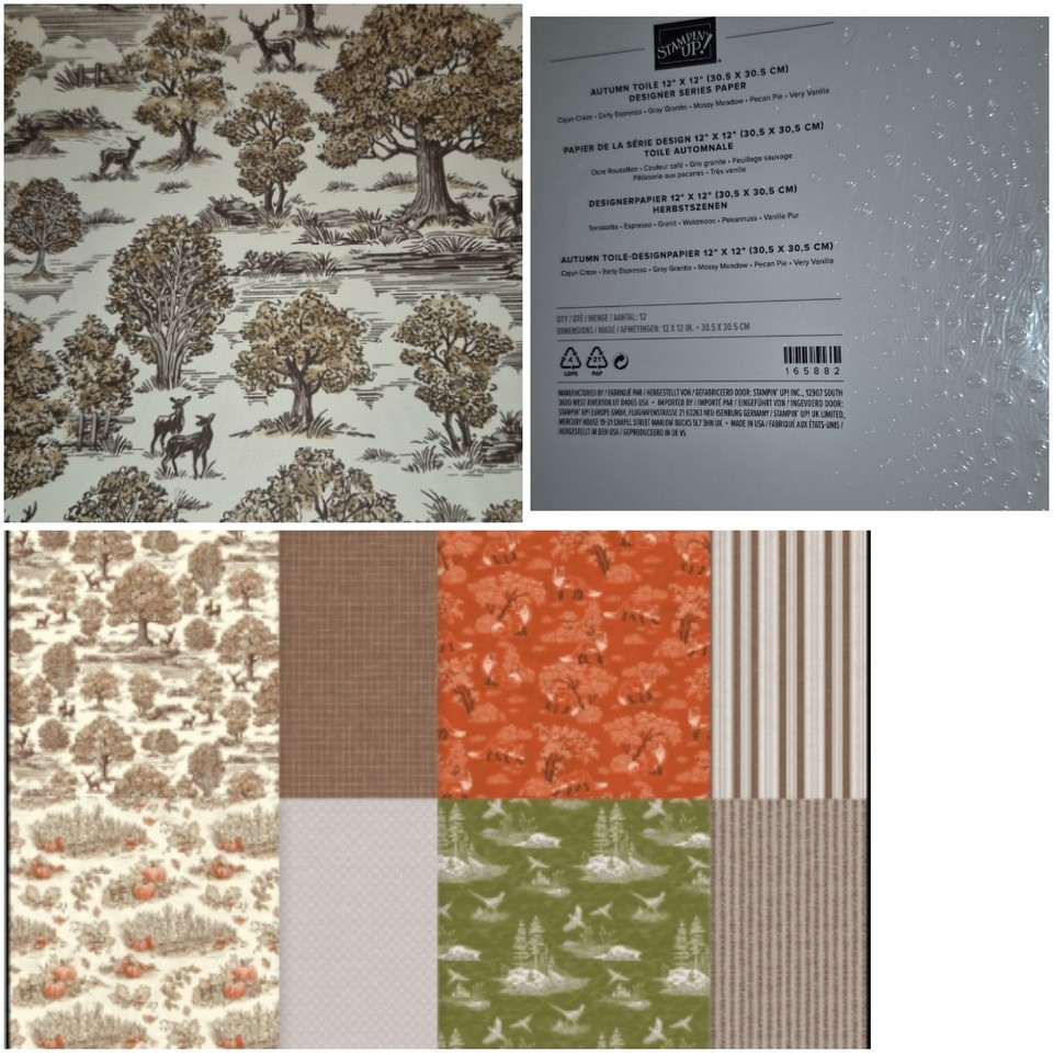Stampin Up AUTUMN TREES Stamp Set & Dies & Autumn Toile Designer Paper ...