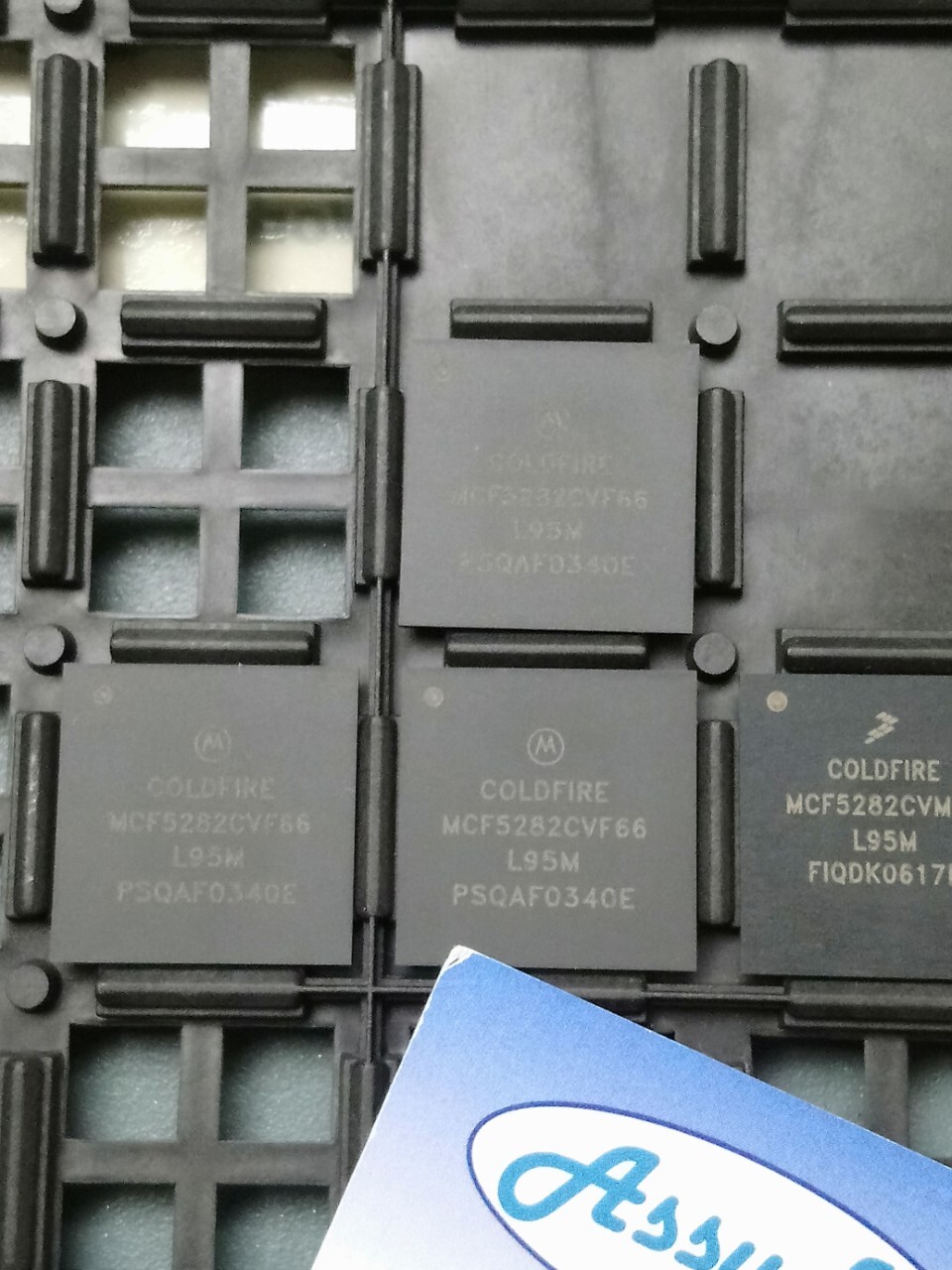 MCF5282CVF66 or MCF5282CVM66 IC MAP-BGA256 ) MCU 32-bit ColdFire RISC ...