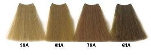Color #6NA Dark Natural Ash Blonde | eBay