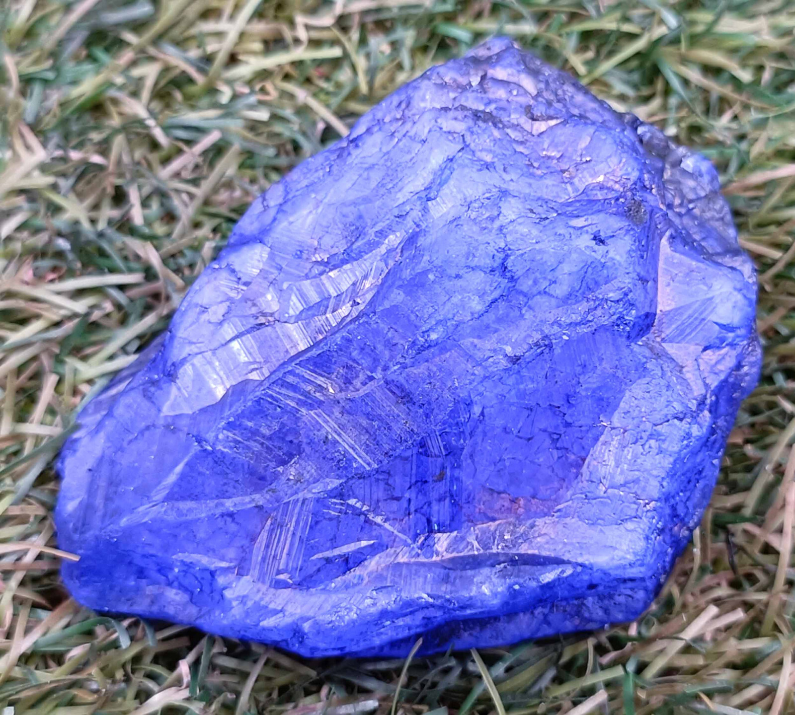 480 Ct Natural Royal Blue Sapphire Uncut Raw Rough EGL Certified Loose ...