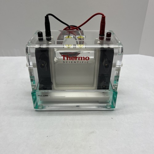 Thermo / Owl Separation Systems P8DS Mini Gel Electrophoresis System | eBay