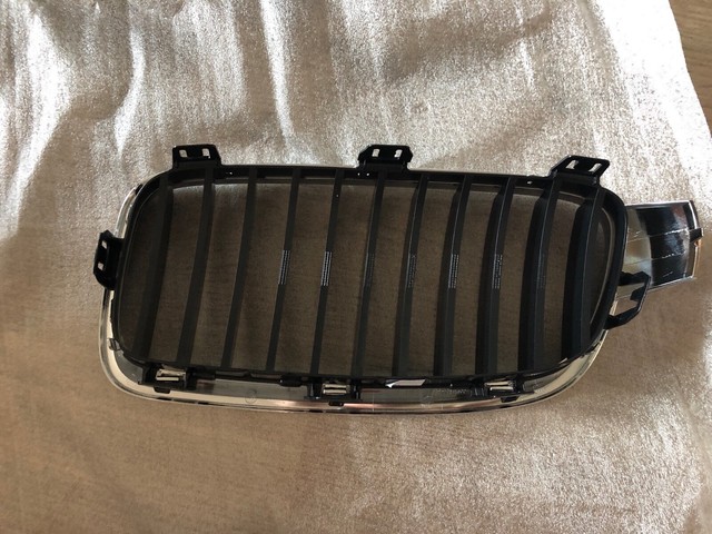 BMW 51137255411 Genuine OEM Grille Left Driver Side for sale online | eBay