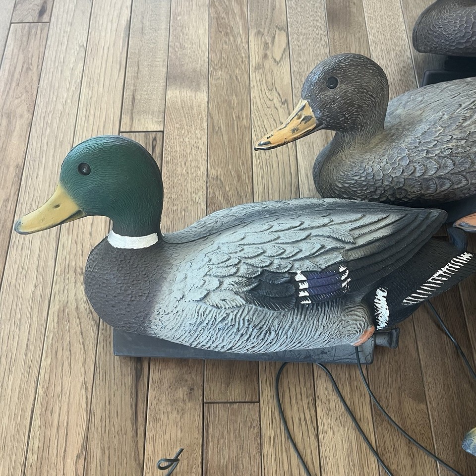 Cabelas Large Duck Decoys Set Of 7 Mallards Drakes Hens Hunting ...