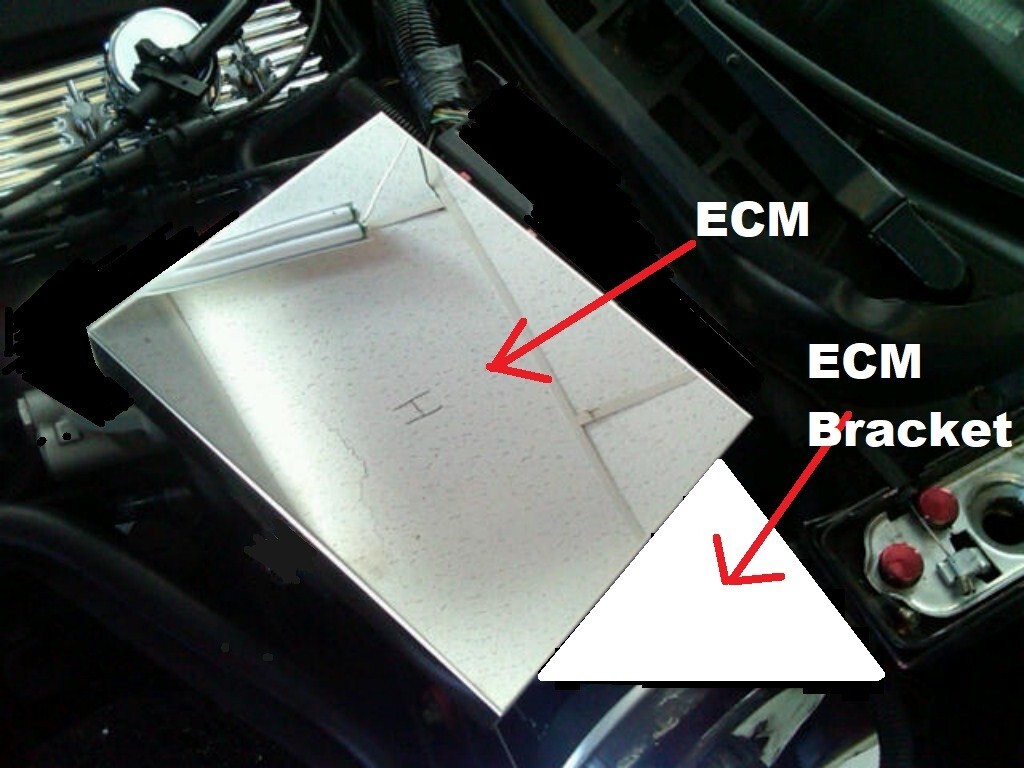 Corvette C4 1994-1996 LT1 Stainless 2 Pc ECM COVER KIT engine dress ...