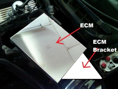 C4 Corvette 1994-1996 LT1 Stainless 2 Pc ECM Cover Kit engine dress ...