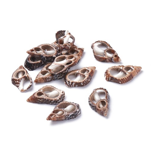 200pcs Center Cut Mixed Size Sea Shells Natural Spiral Shell Bead ...