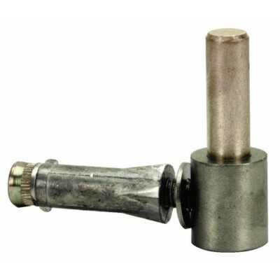 Gond à vis en inox 316 et cheville - Pivot 14mm TORBEL | eBay