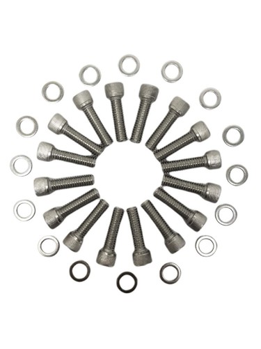 BBC Stainless-Steel Intake Manifold Bolt Kit 3/8-16 1-1/4” BOLTS with ...