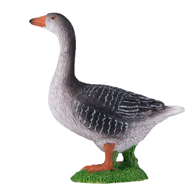 Grey Goose Animal Cape Barren Goose