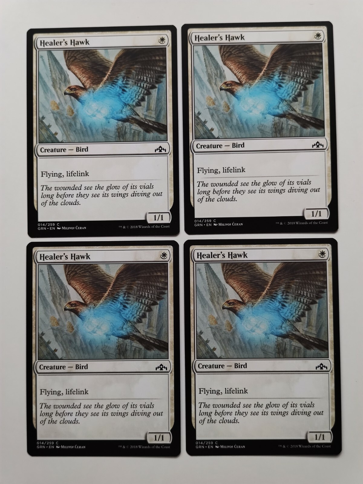 MTG Magic cards 4x Healer's Hawk Guilds of Ravnica - Eng, Boosterfresh ...