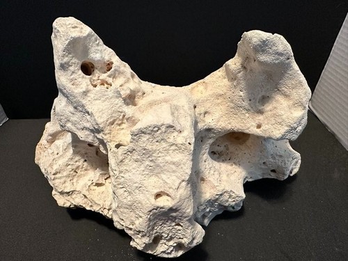 Large Texas Limestone Holey Rock Aquarium Decoration #12HR | eBay