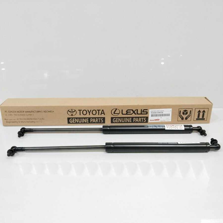 Toyota Land Cruiser LX470 OEM Gas Spring Hood Lift Support 53440-69036 ...