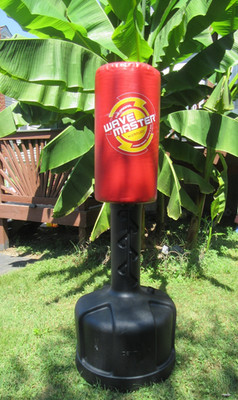 Century Box/Kick Bag Wave Master Free Standing Adj Heights!! Local ...