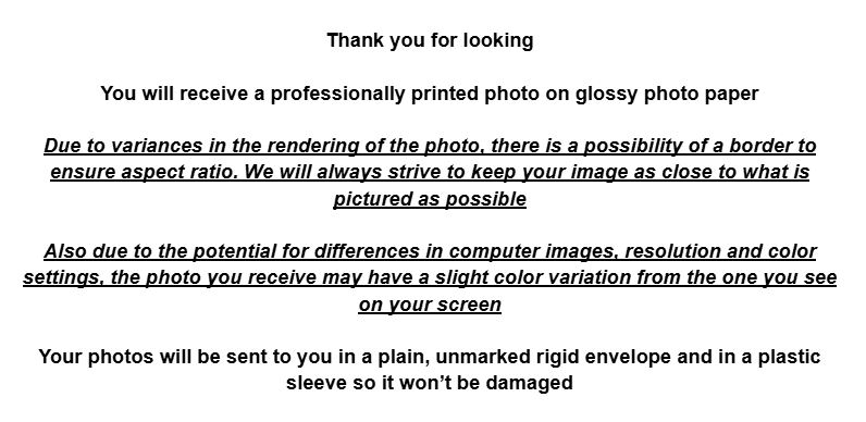 Pinup Girl 4x6 Glossy Photograph Beautiful Woman Nude Model Fine Art ...