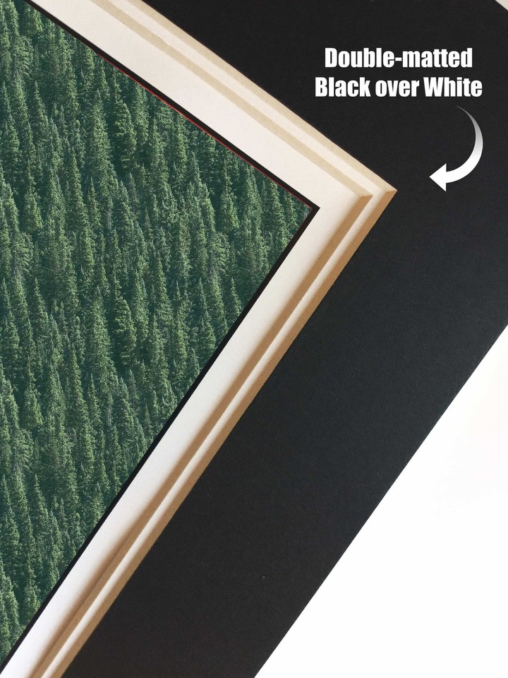 1976 Plymouth Volare Railroad Super Pak Introducing Super Beep Beep ...