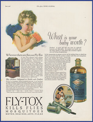 Vintage 1926 FLY-TOX Insecticide Bug Fly Spray Andrew Loomis Art Print ...