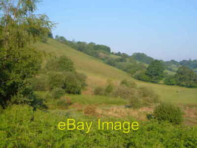 Photo 6x4 Padley Common, Chagford Thorn/SX6886 The lower northern ...