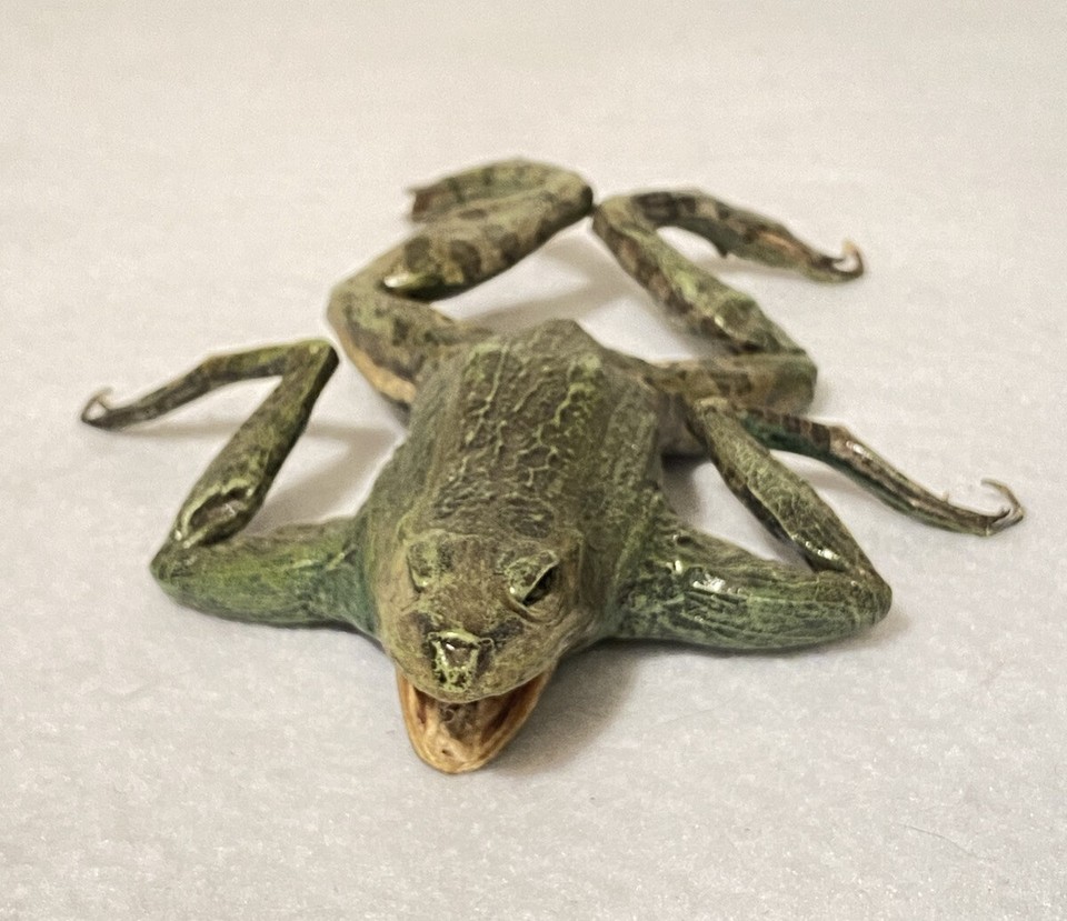 Deformed Mutant 4 Legged Frog Freak taxidermy Sideshow Gaff | eBay