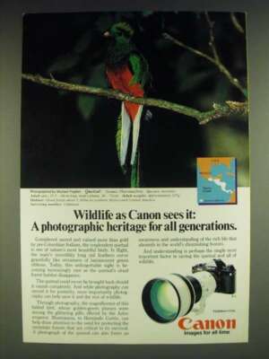 1985 Canon F-1 Camera and FD 300mm f/2.8L Lens Ad - Quetzal | eBay