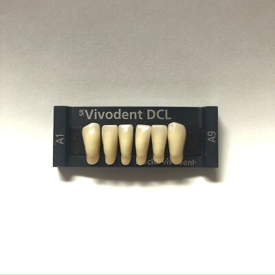 SR Vivodent DCL A1 - A9 Dental Laboratory Acrylic Denture Teeth Dental ...