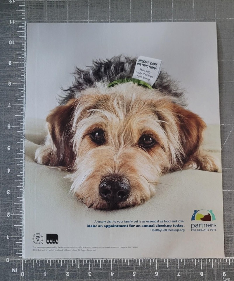 2014 Healthy Pet Check Up Print Ad - Cute Brown / Tan Puppy Dog Vet ...