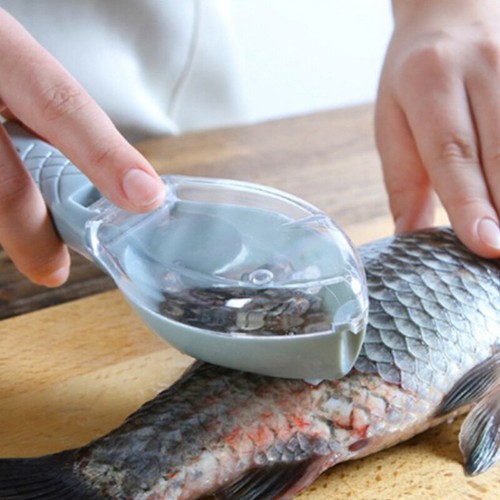 New Fish Scaler Tool scraping Fish Scraper Cleaning Cutter Remover ...