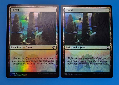 2x Forest Basic Land Adventures of the Forgotten Realms Mtg Magic Card ...