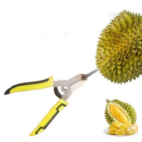 Durian Opener Sheller Clamp Fruit Shell Clip for Fruits Shop Kitchen ...
