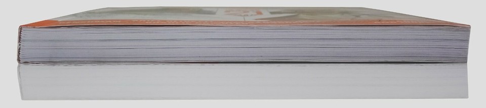 Learn From 100 Famous Artists 21 Draw 250 page Book To Become A Better ...