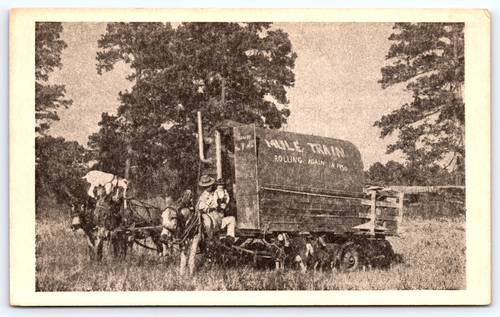 VINTAGE POSTCARD OLD ANTIQUE PICTURE MULE TRAIN MAN BOY ANIMALS DONKEYS ...