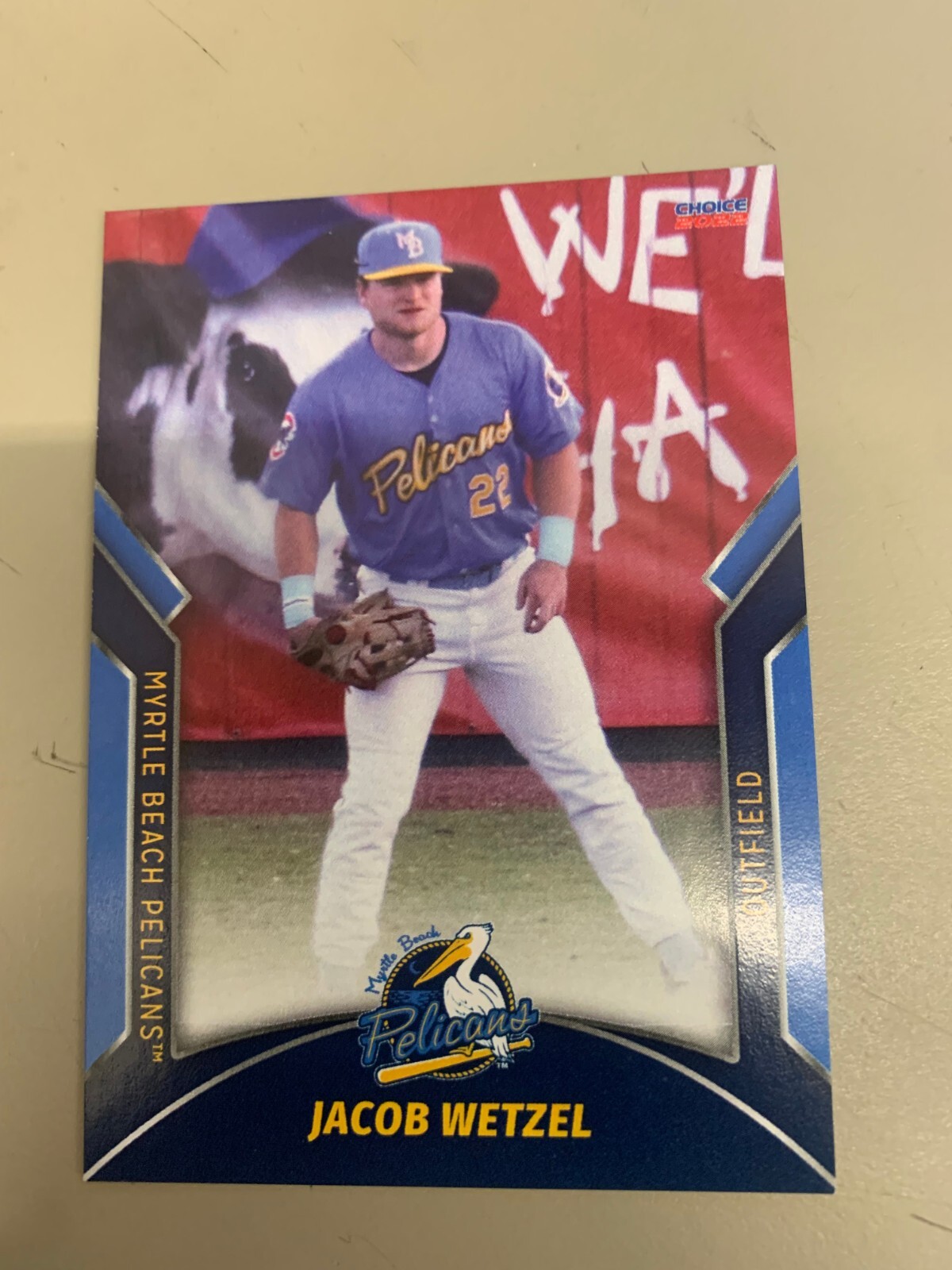 Jacob Wetzel Card 2022 Myrtle Beach Pelicans Team Card | eBay