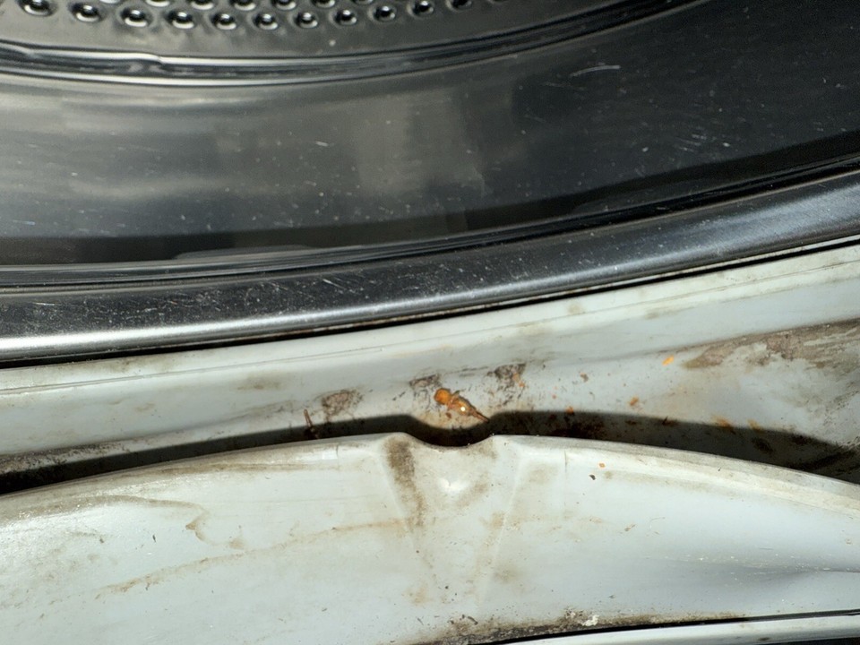 Washing machine Hotpoint Model WMFUG842 | eBay UK