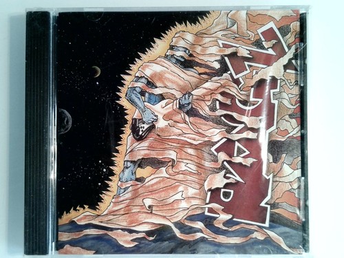 RAGZ – RAGZ CD 1995 Indie New Sealed | eBay