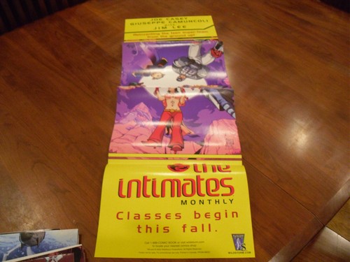 THE INTIMATES WILDSTORM JIM LEE PROMO POSTER (NEW) 2004 33 x 11" | eBay