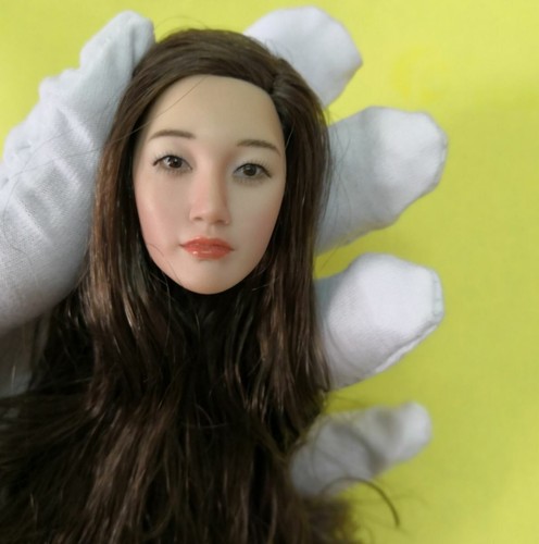 1/6 Head Sculpt W/Brown Long Hair Beauty Carved PVC Female Model Toy ...