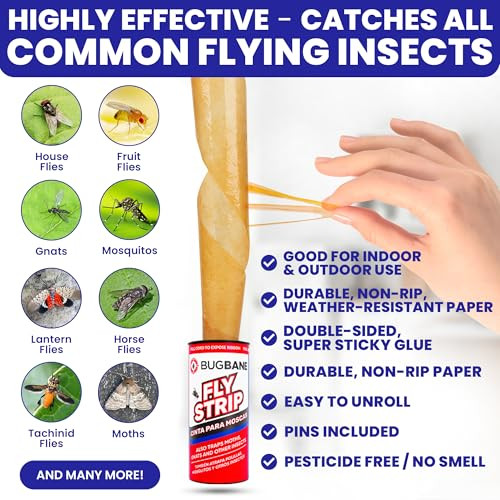24 Fly Strips Indoor Sticky Hanging with Pins. Paper Tape for Indoors ...