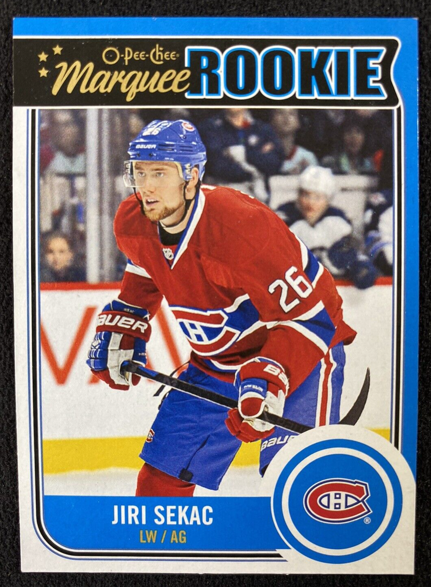 Jiri Sekac Hockey