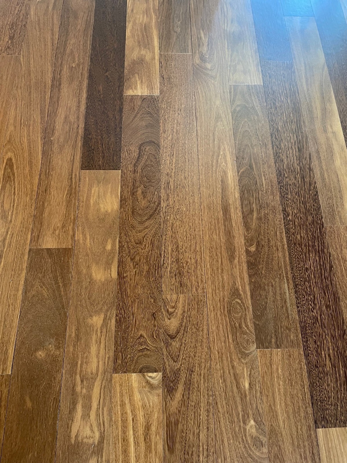 5 inch x 3/4 inch Unfinished Brazilian Chestnut Wood Flooring, New, 400 ...