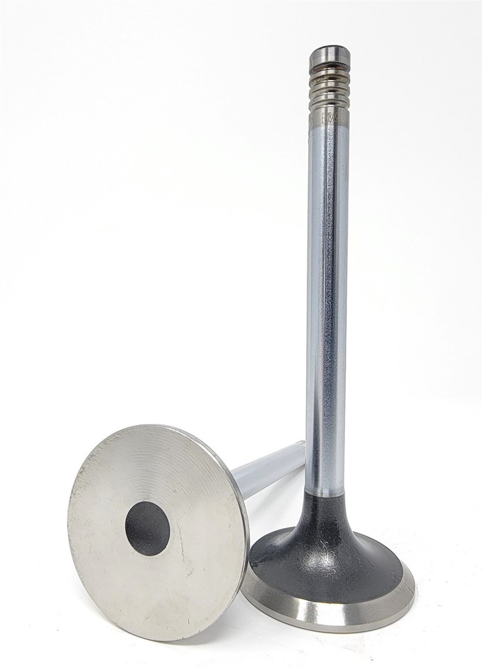 Fits 1975 - 1978 AMC Matador 360 V8 - (8) INTAKE & (8) EXHAUST VALVES ...