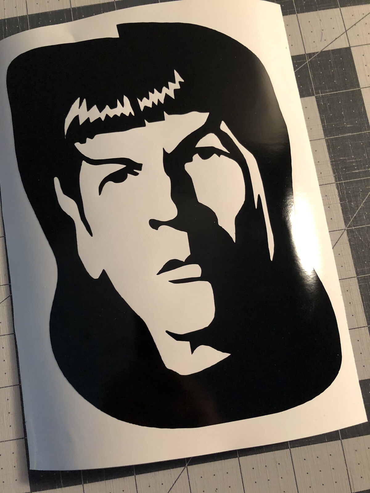 Vinyl Decal for Window - Star Trek, Spock | eBay
