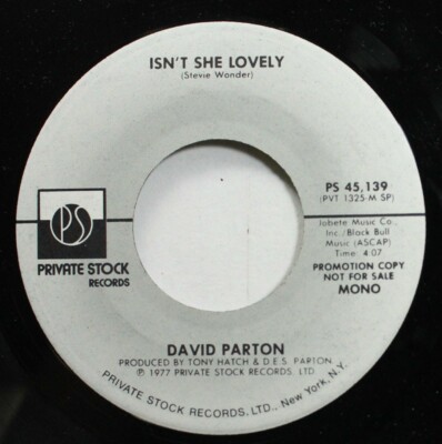 Rock Promo Nm! 45 David Parton - Isn'T She Lovely / Isn'T She Lovely On ...
