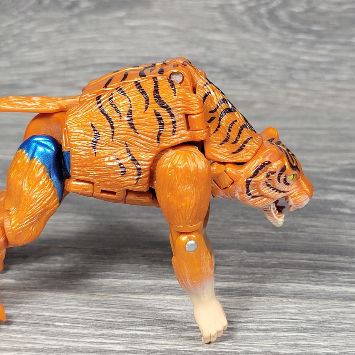 Animorphs Toys Tiger