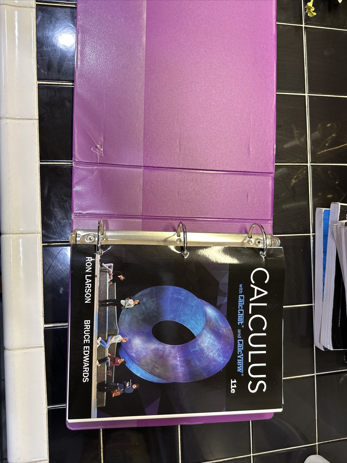 9781337275576 Larson Calculus 11th Edition. Loose-Leaf. (Includes 3 ...