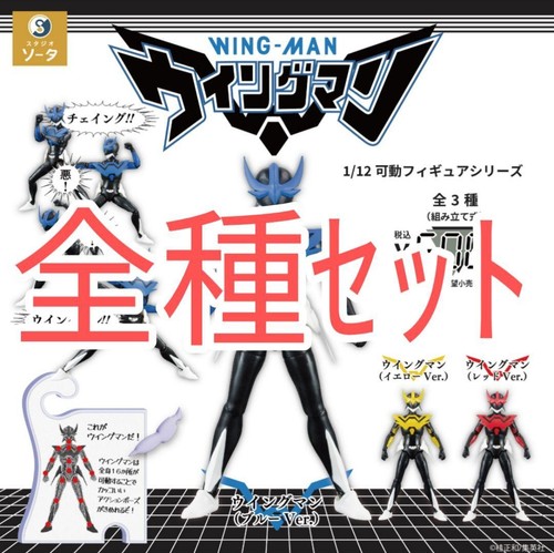 All Types Set 1 12 Movable Figure Series Wingman Gacha | eBay