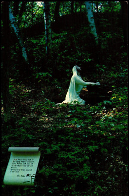 Postcard WI Wisconsin Dells Jesus in the Wilderness Biblical Gardens ...